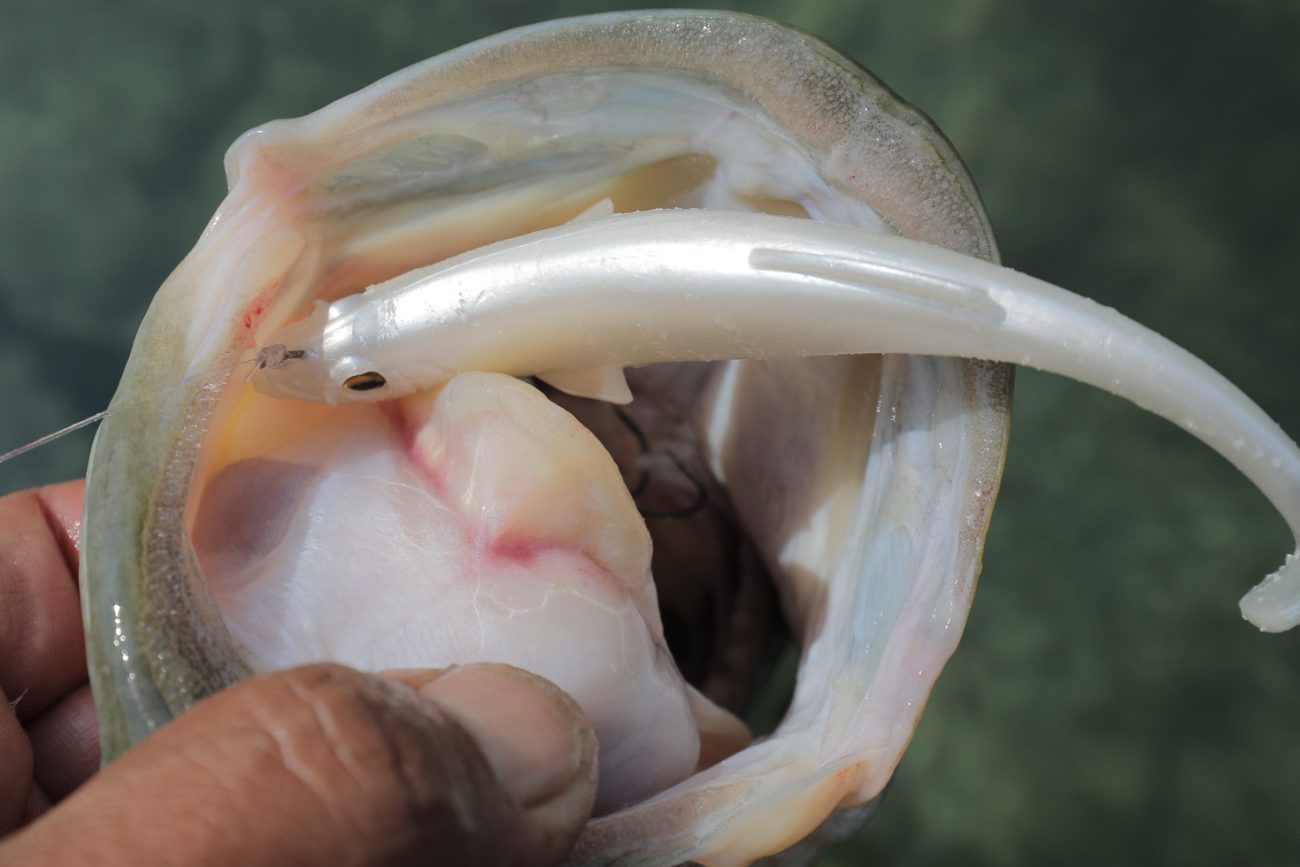 Fishing the MAGDRAFT 5IN with Kenta Kimura - Megabass